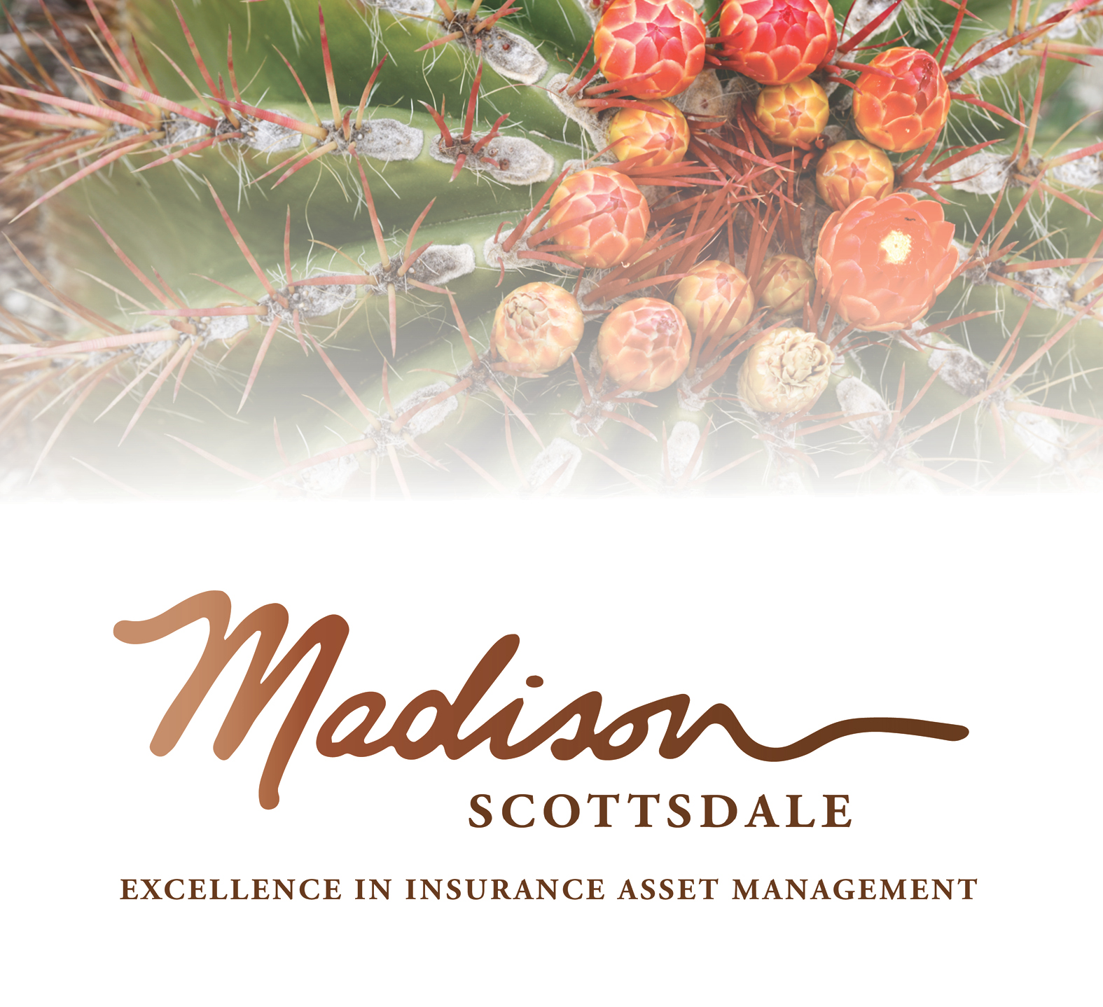 Workshops and Meetings